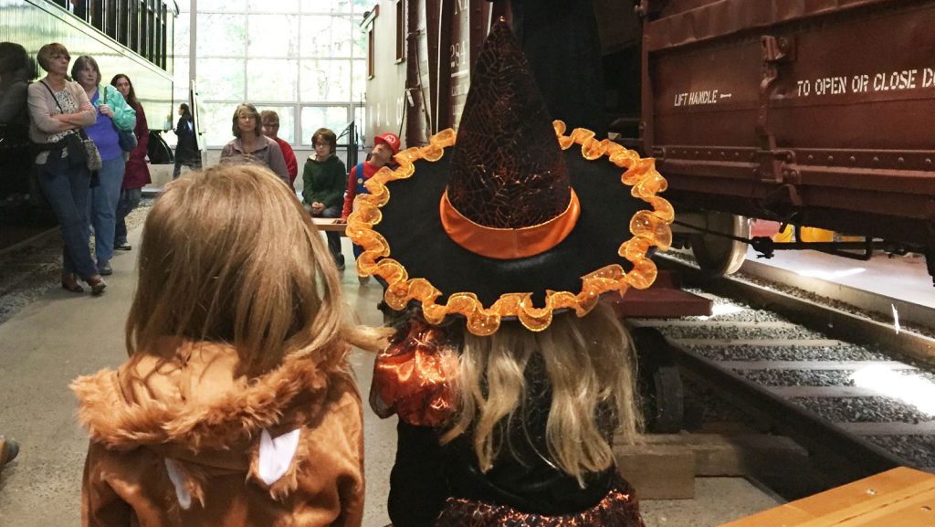 Ride the Train - Northwest Railway Museum